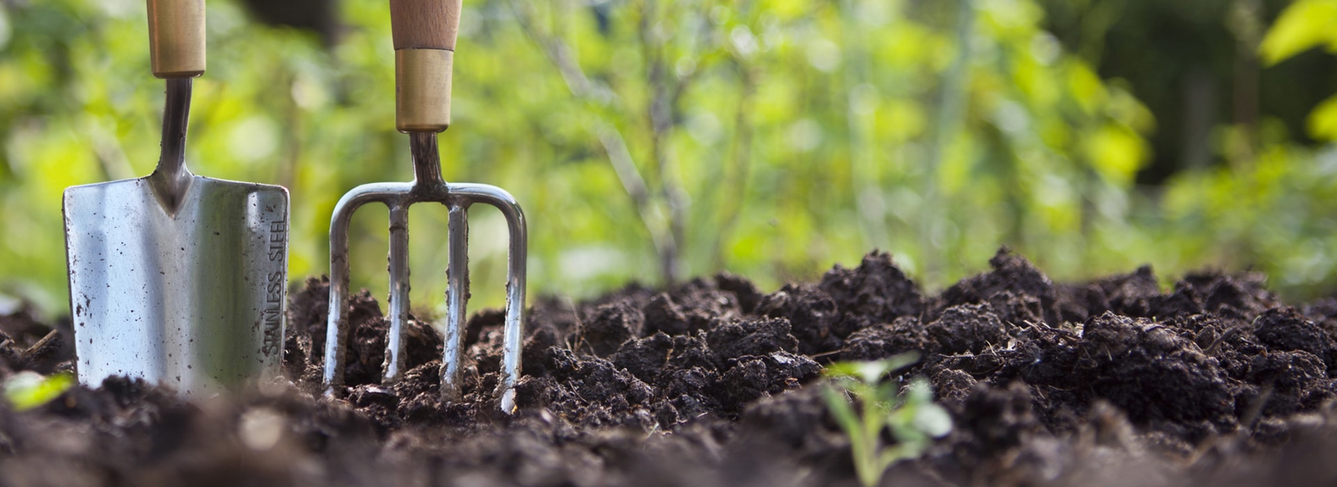 Le Pouce Vert : Fournisseur de Produits de haute qualité pour le ...